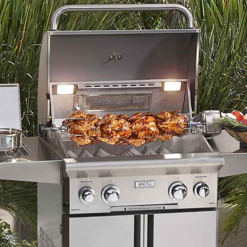 American Outdoor Grill 36" L Series Portable Gas Grill — The Torch Guys