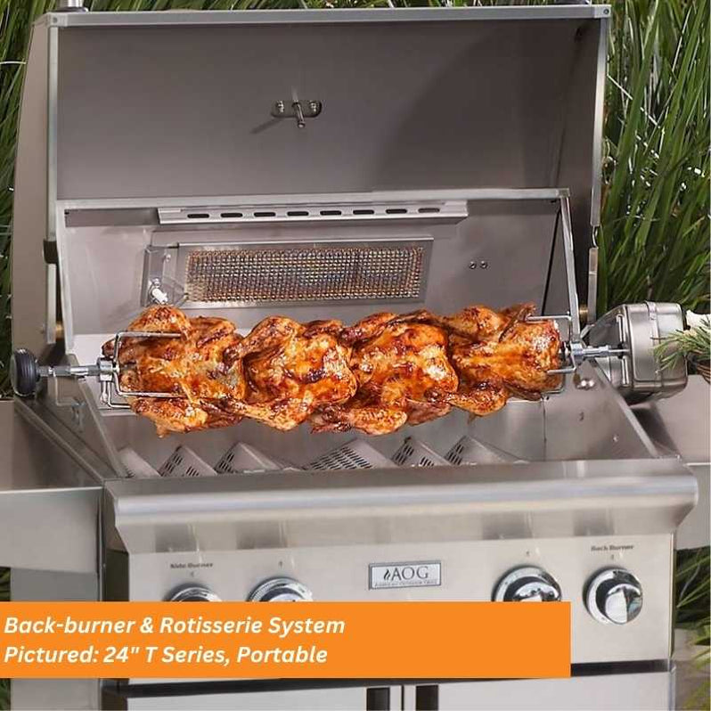 American Outdoor Grill 24" L Series Post Mount Gas Grill — The Torch Guys