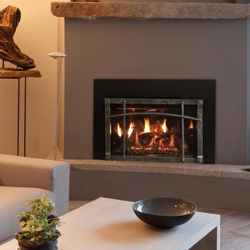 Empire Rushmore 30" Direct Vent Gas Insert | DVCT30CBN — The Torch Guys