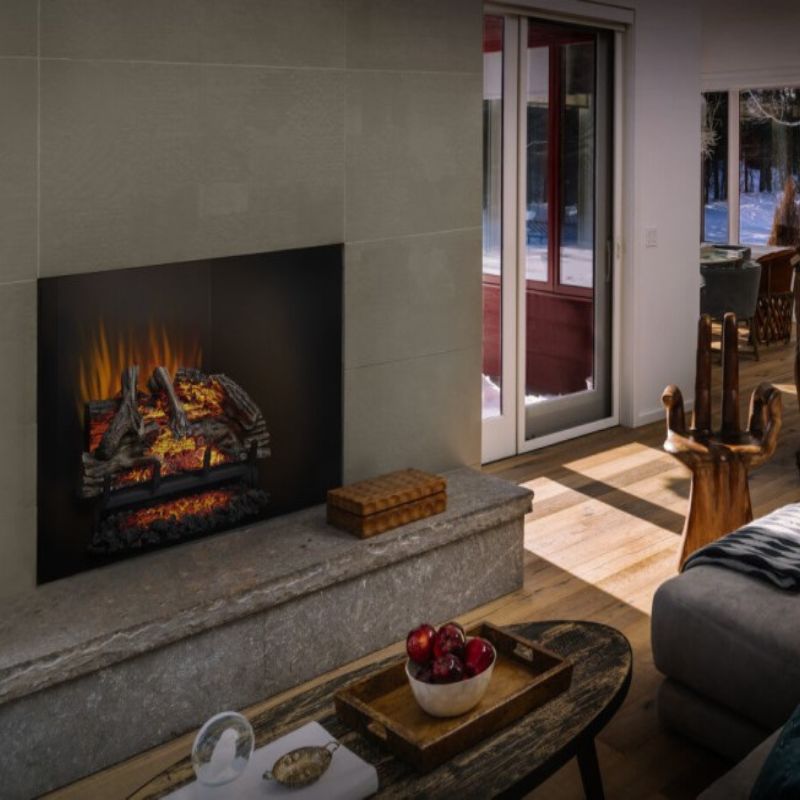 Napoleon Electric Fireplace Log Set | Woodland Log Fireplace | 27-in ...