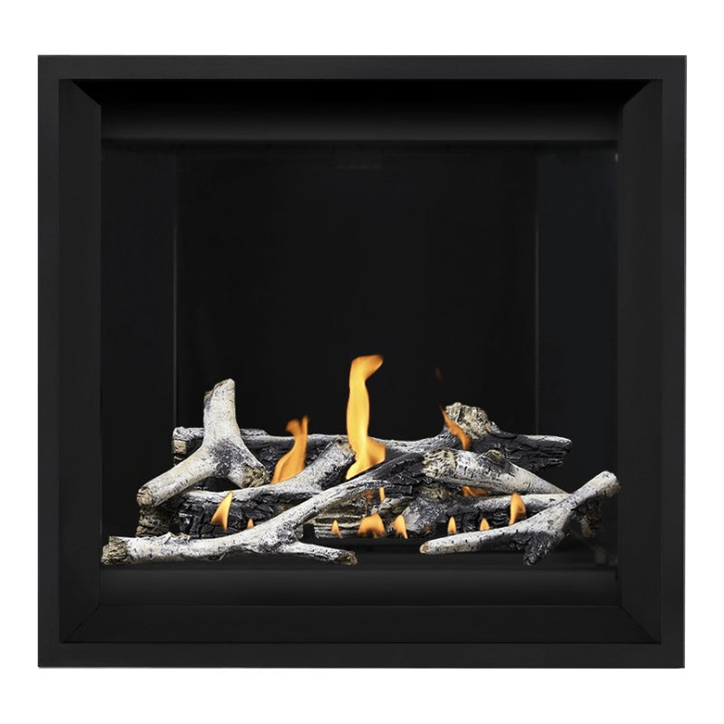 Napoleon Altitude X 36" Direct Vent Fireplace | AX36-1 — The Torch Guys