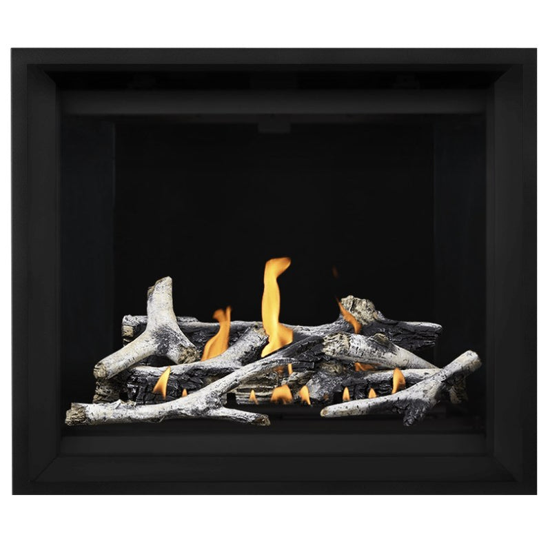 Napoleon Altitude X 42" Direct Vent Fireplace | AX42-1 — The Torch Guys