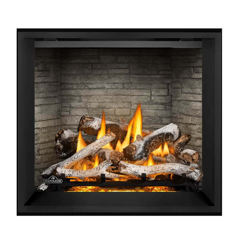 Napoleon Elevation X 36" Direct Vent Fireplace | EX36 — The Torch Guys
