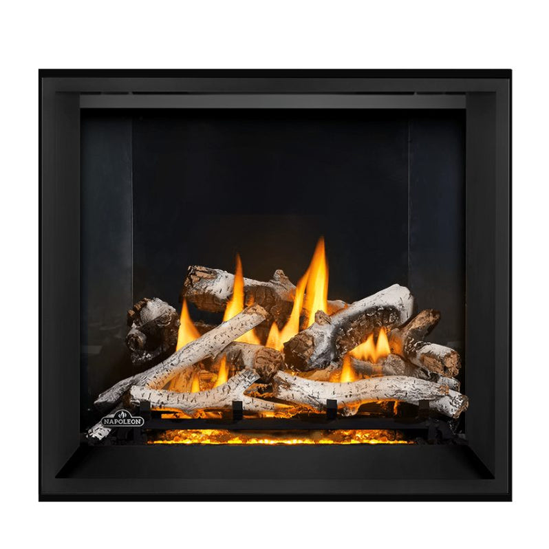 Napoleon Elevation X 36" Direct Vent Fireplace | EX36 — The Torch Guys
