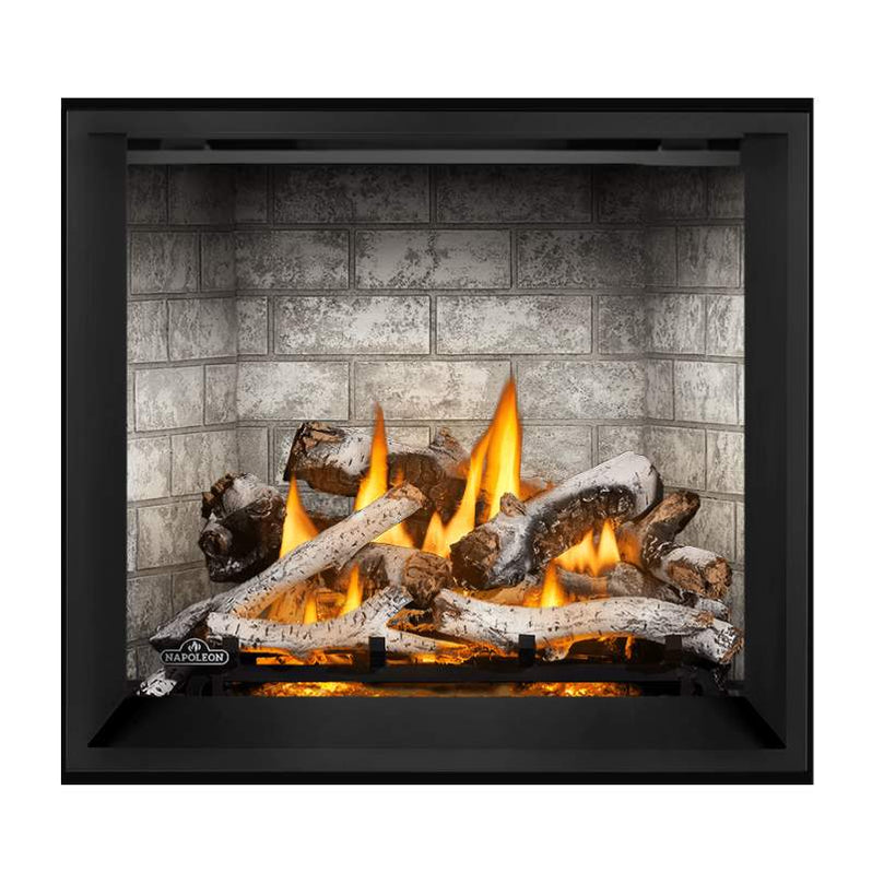 Napoleon Elevation X 36" Direct Vent Fireplace | EX36 — The Torch Guys