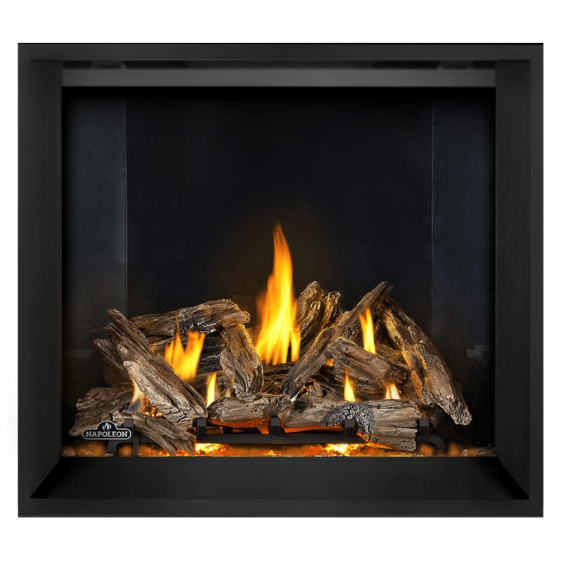 Napoleon Elevation X 42" Direct Vent Fireplace — The Torch Guys