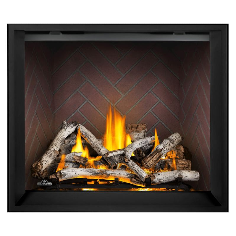 Napoleon Elevation X 42" Direct Vent Fireplace — The Torch Guys