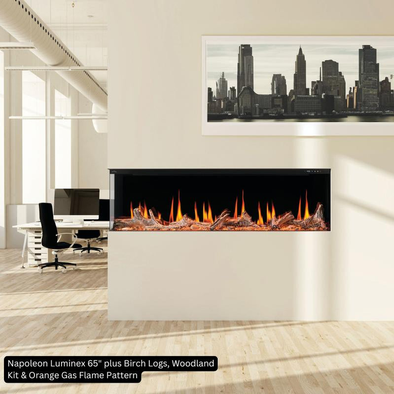 Napoleon Fireplaces – Direct Vent, Electric & Wood Stoves — The Torch Guys